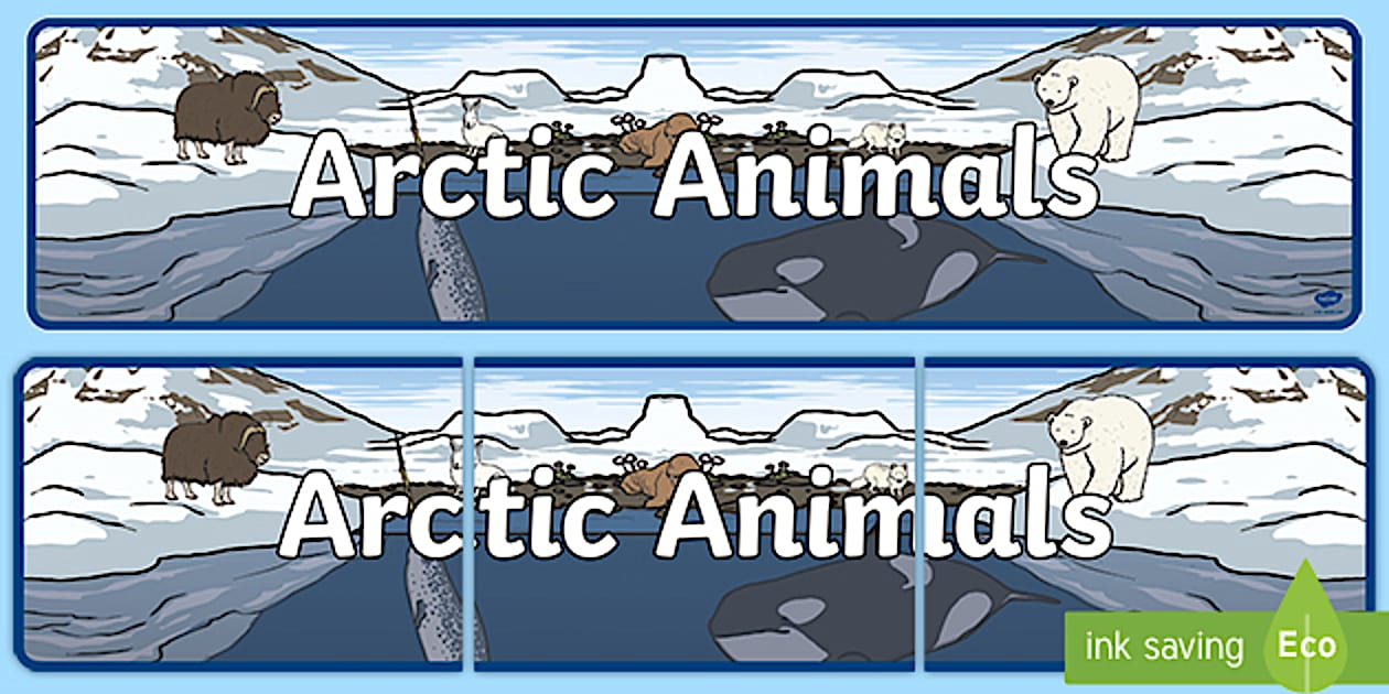Arctic Animals Display Banner (teacher made) - Twinkl