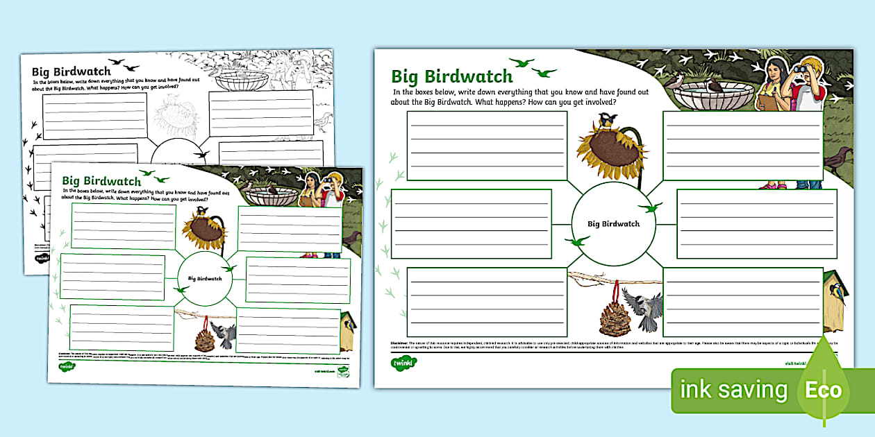 Big Birdwatch Mind Map (teacher made) - Twinkl