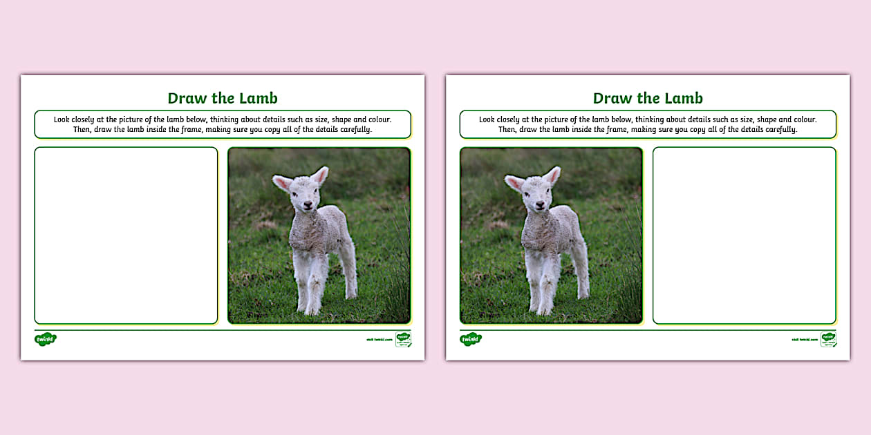 Draw the Lamb Worksheet (teacher made) - Twinkl