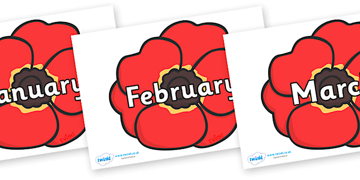 Months of the Year on Poppies (Teacher-Made) - Twinkl