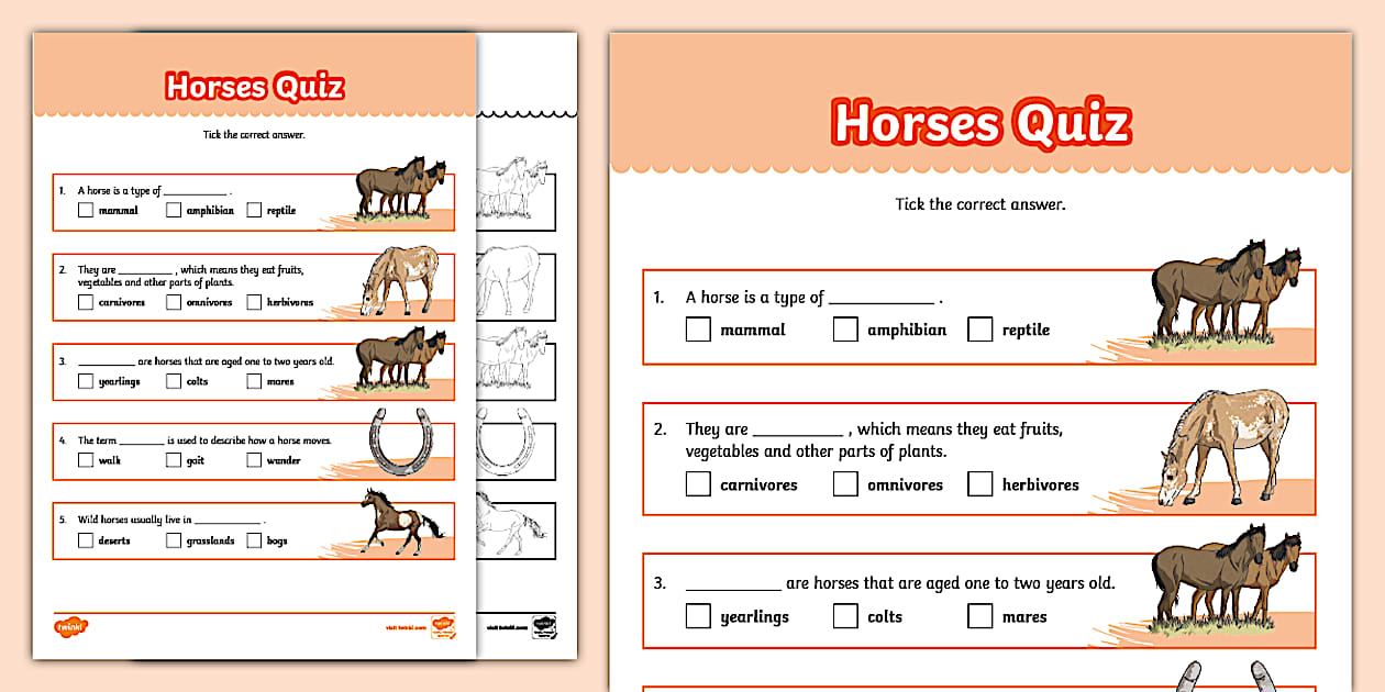 Horses Paper Quiz (teacher made) - Twinkl