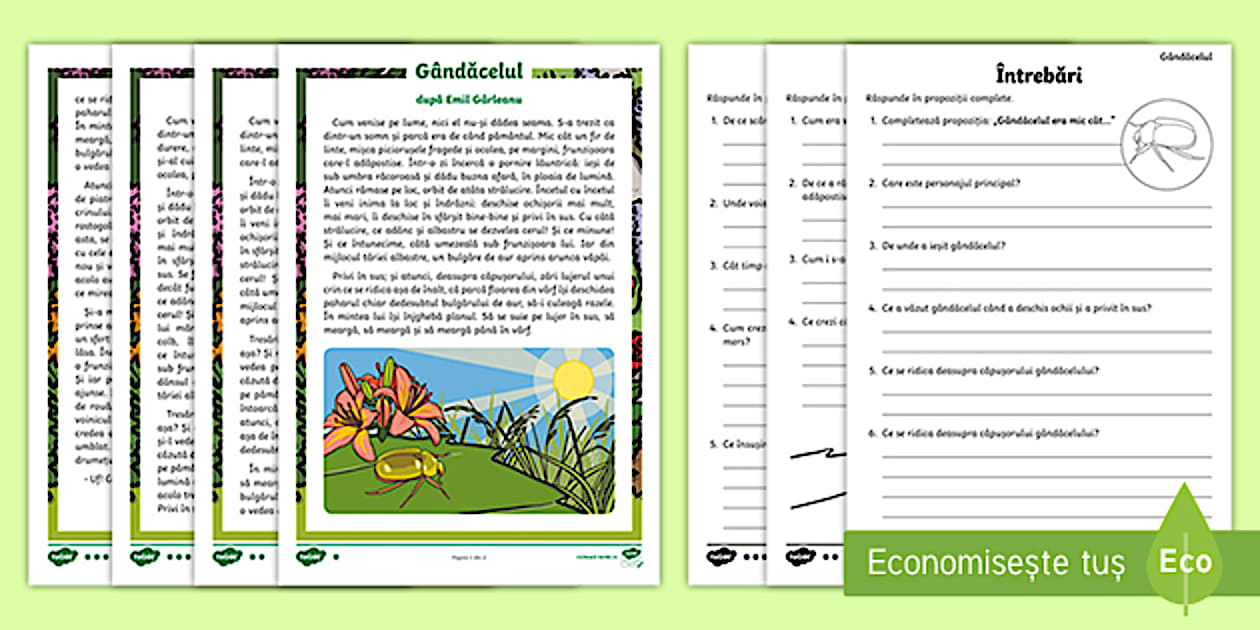 Gândăcelul de Emil Gârleanu | Fișă de lectură Twinkl România