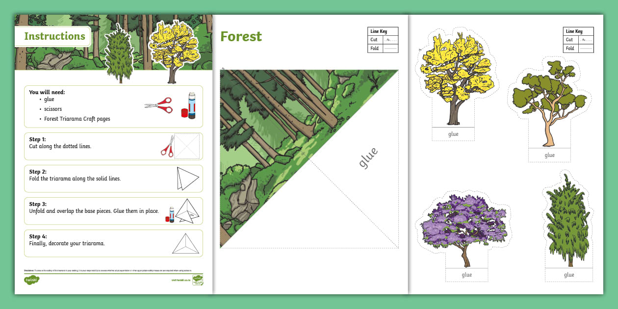 Forest Triarama (Teacher-Made) - Twinkl