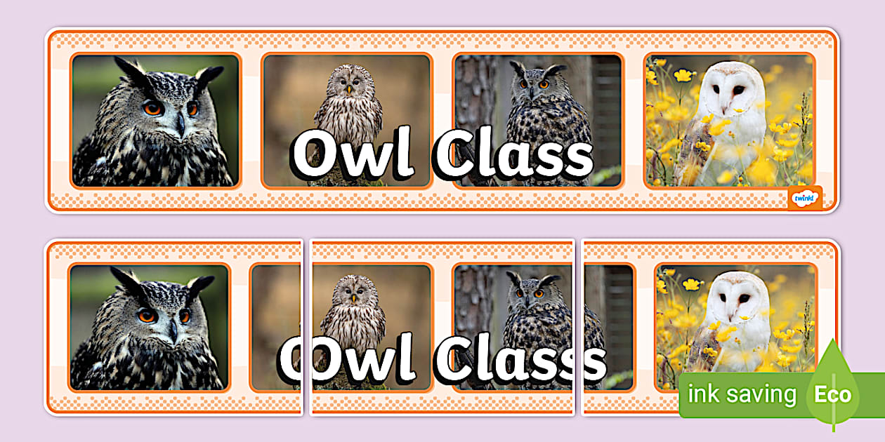 Owl Class Photo Display Banner (teacher made) - Twinkl