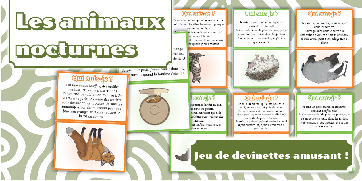 * NEW * Qui suis-je ? : Les animaux nocturnes - Twinkl
