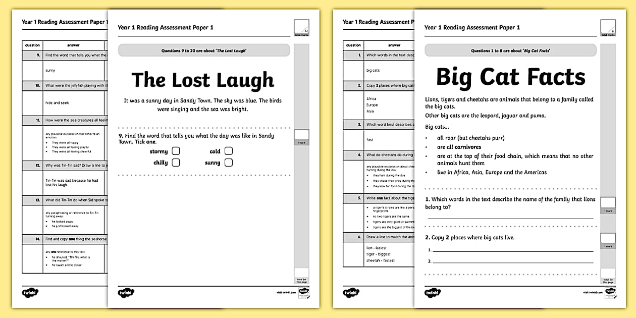 Year 1 Reading Assessment Paper 1 Term 1 (teacher made)