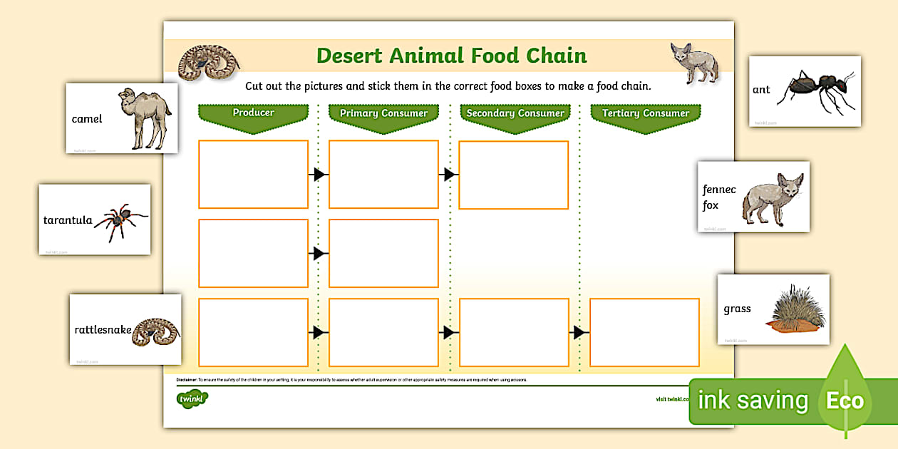 Desert Biome Food Chain Activity Sheet | Twinkl - Twinkl