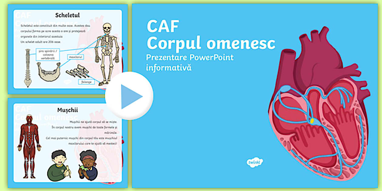 Descoperă corpul omenesc | Resurse didactice Twinkl România