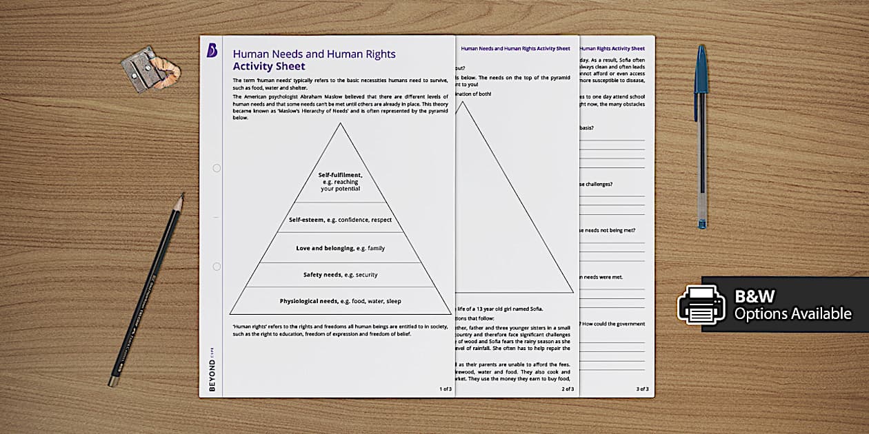 Human Needs and Human Rights Activity
