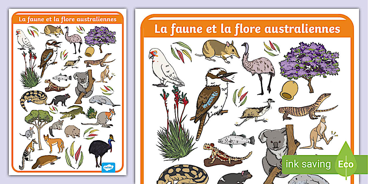 La faune et la flore australiennes