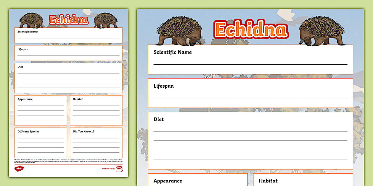 Echidna Fact File Template - Twinkl Fact File (teacher made)