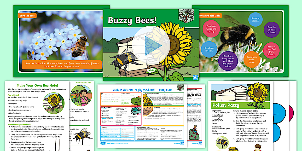 Outdoor Bees Activity | Kindergarten Resources | Twinkl