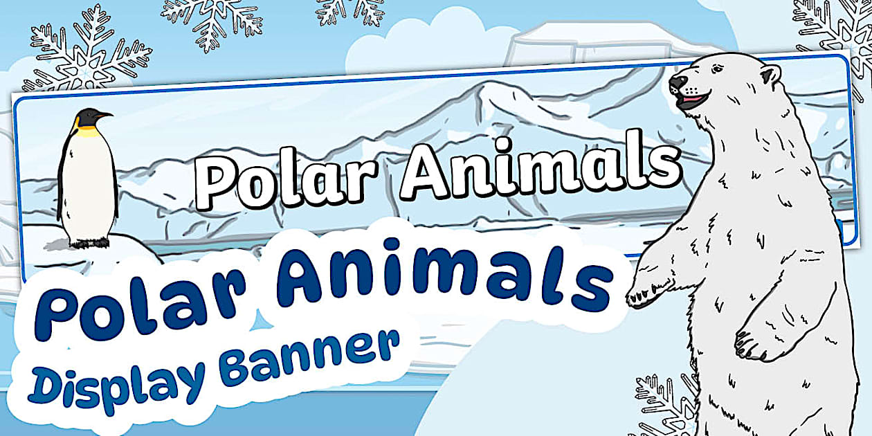 Polar Animals Display Banner