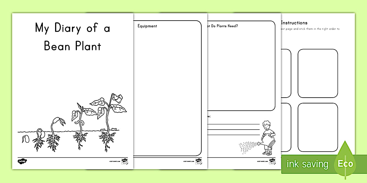 My Diary of a Bean Plant Booklet (teacher made) - Twinkl