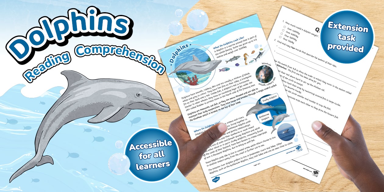 Dolphin Reading Comprehension Activity