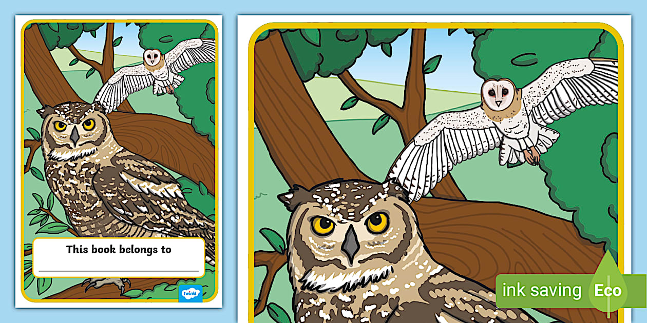 Owl-Themed Book Cover | Twinkl | KS1 | Stationery | Owls