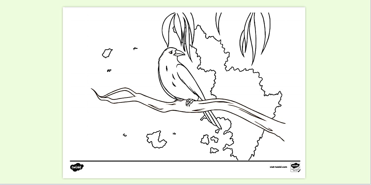 Sad Crow on Tree Branch Colouring Sheet (teacher made)