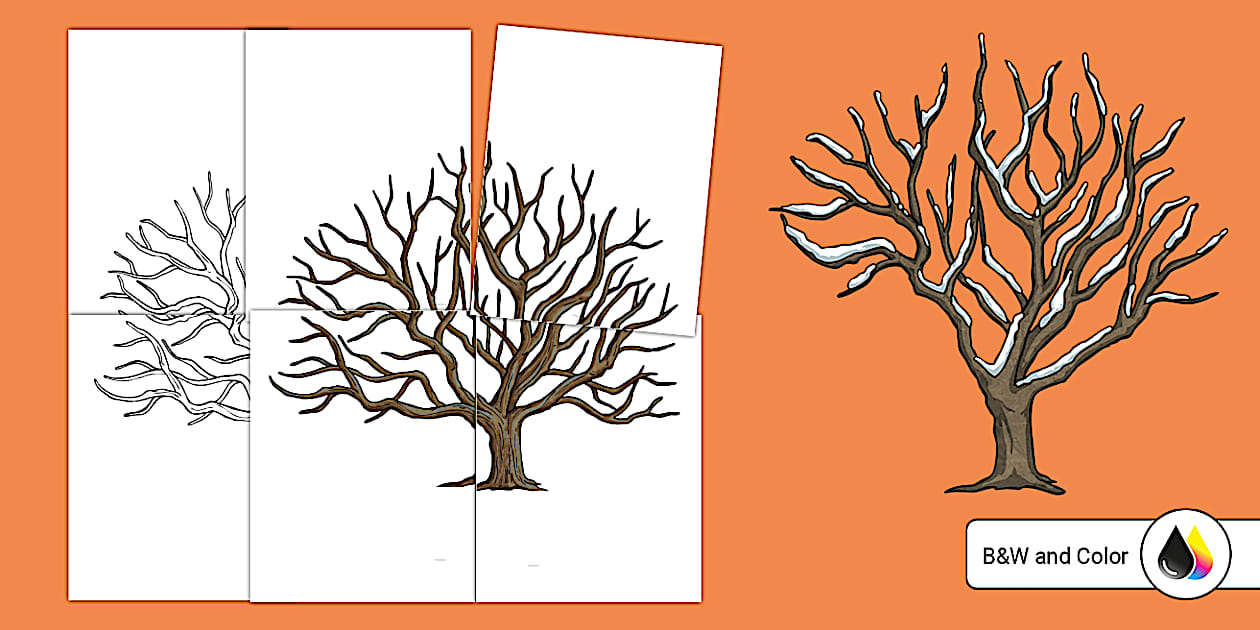 Winter Tree Cut Out | Resource | Twinkl USA - Twinkl