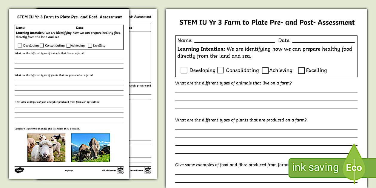 STEM IU Yr 3 Farm to Plate Pre-/Post- Assessment - Twinkl