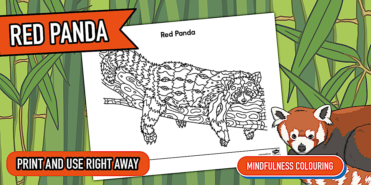 Primary Mindfulness Red Panda Colouring Page (teacher made)
