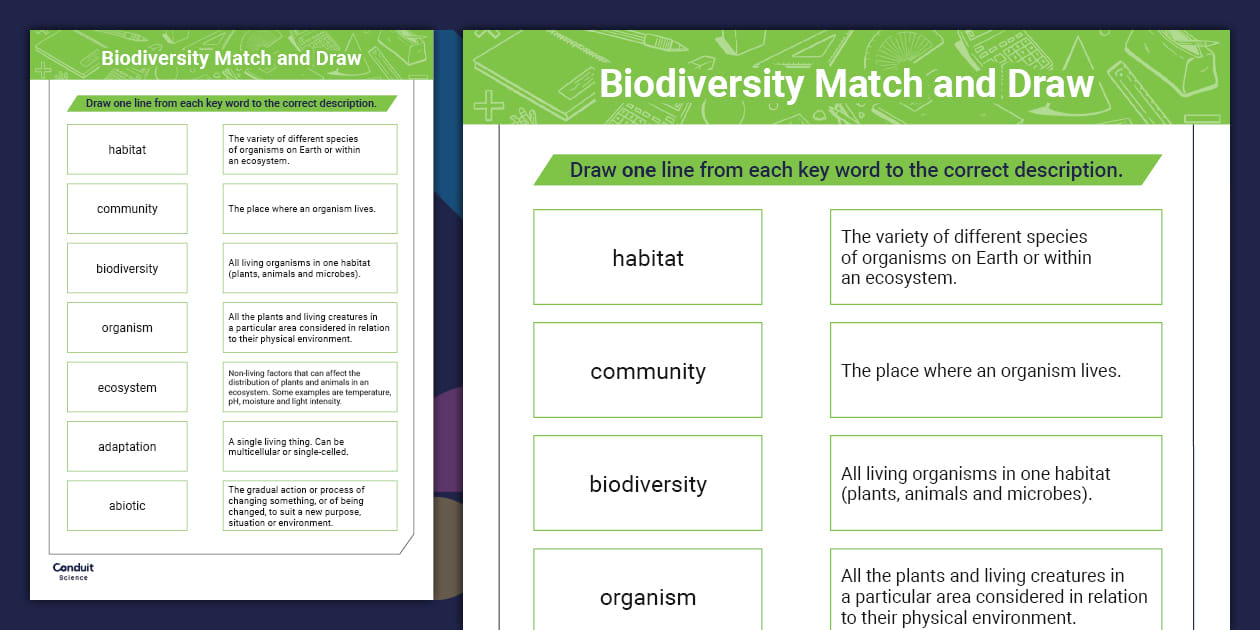 Biodiversity and Interdependence: Match and Draw - Twinkl Biodiversity and Interdependence: Match and Draw - Twinkl