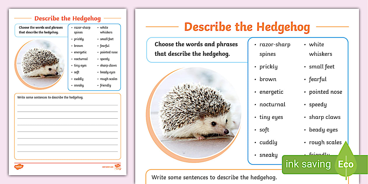 Describe the Hedgehog Writing Worksheet - Twinkl