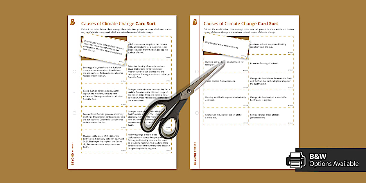 Causes of Climate Change Card Sort (teacher made) - Twinkl
