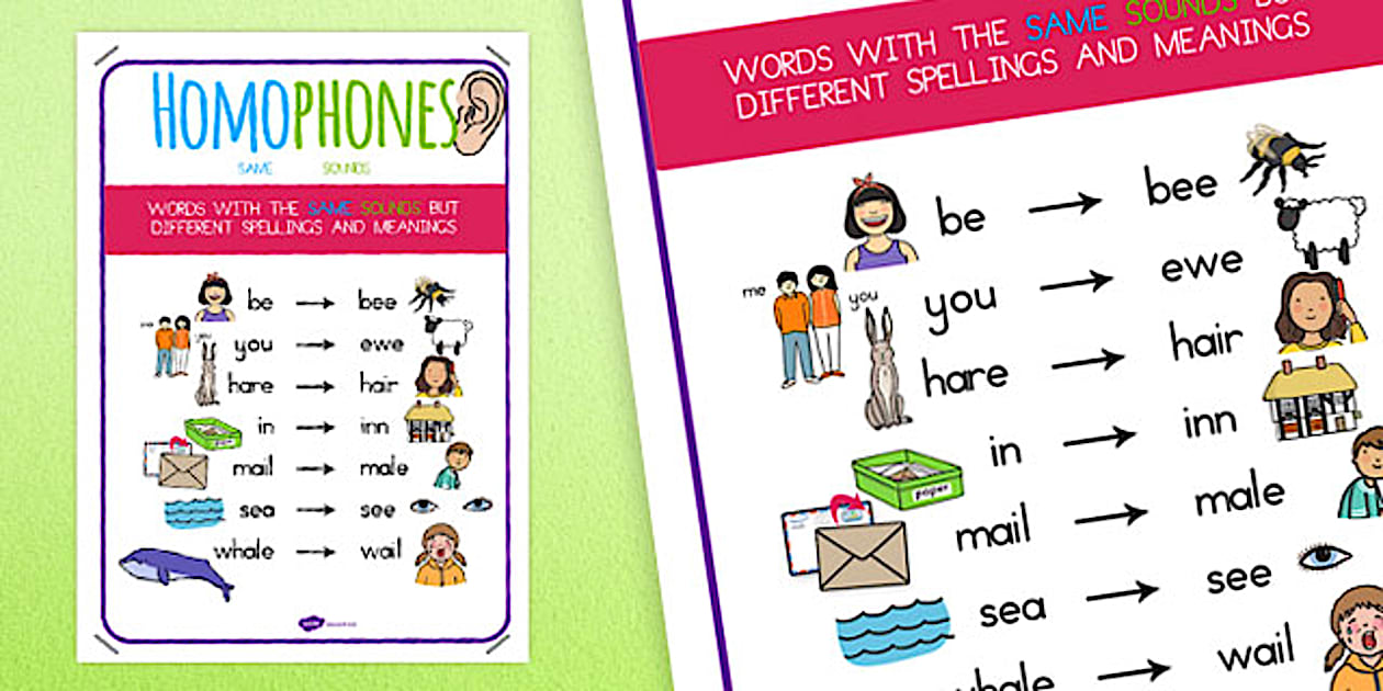 Large Homophone Display Poster (teacher made) - Twinkl
