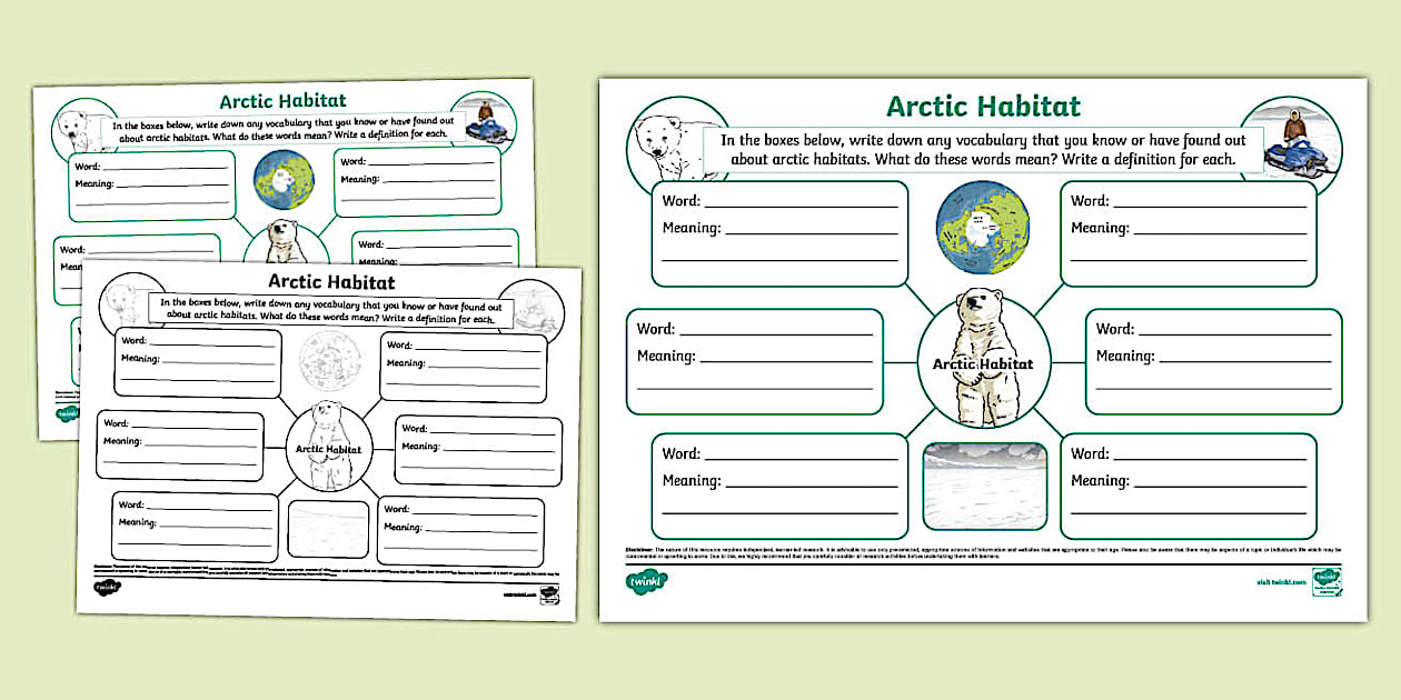 Arctic Habitat Vocabulary Mind Map (teacher made) - Twinkl