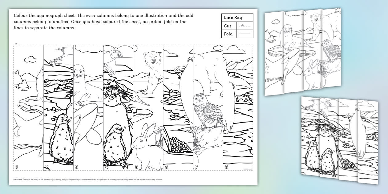 Animals in Antarctica Agamograph (teacher made) - Twinkl