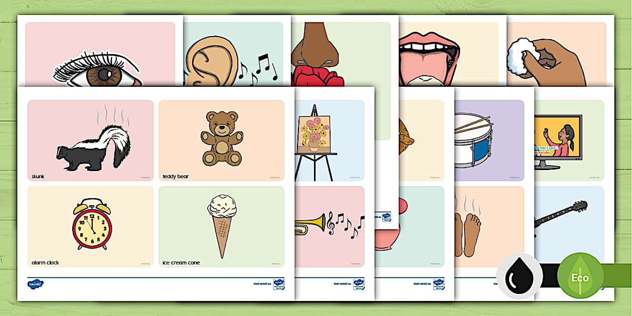 My 5 Senses Sorting Activity (teacher made) - Twinkl