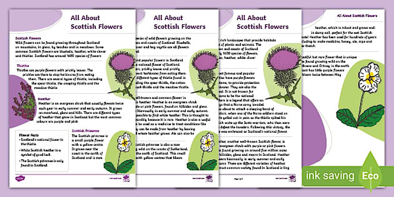 All About Scottish Flowers Fact File (teacher made) - Twinkl