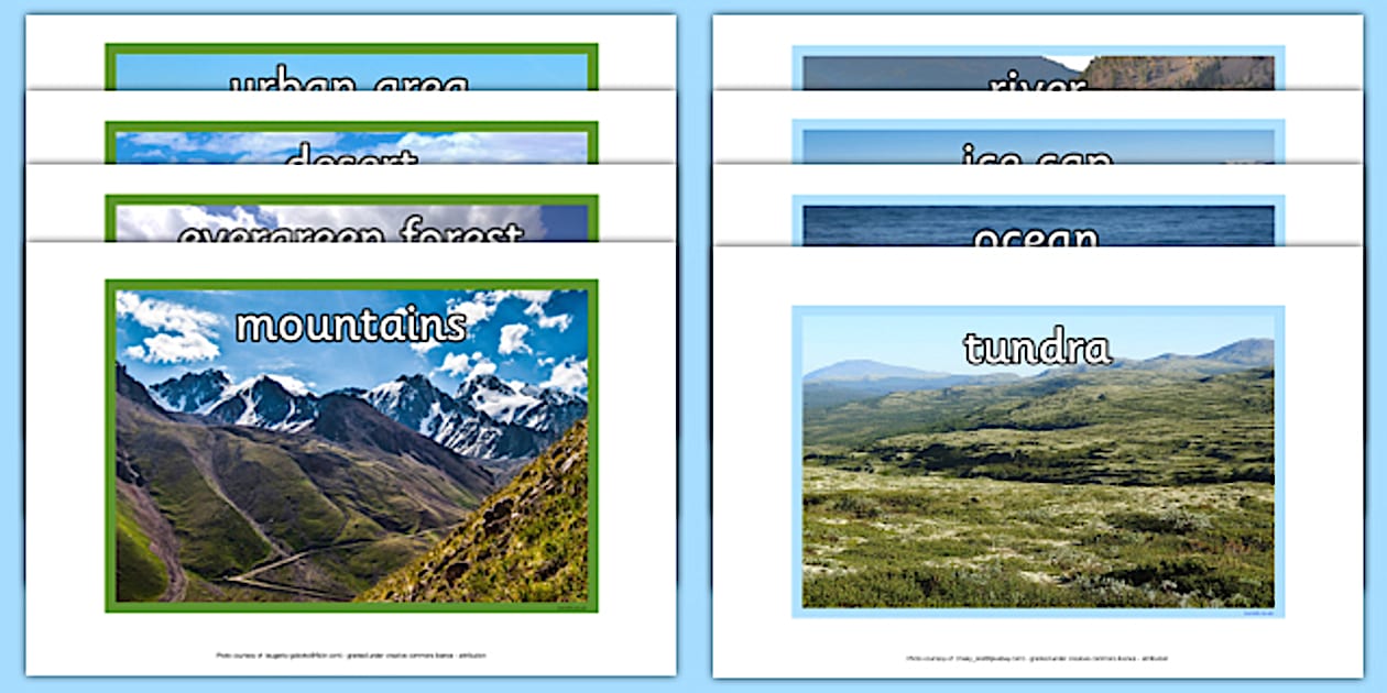 Biodiversity Ecosystem Posters | Twinkl Resources Ireland