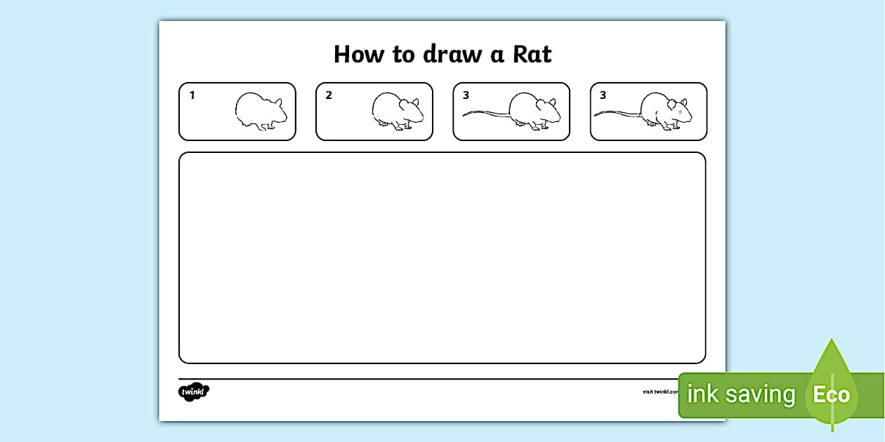 How to Draw a Rat (teacher made) - Twinkl