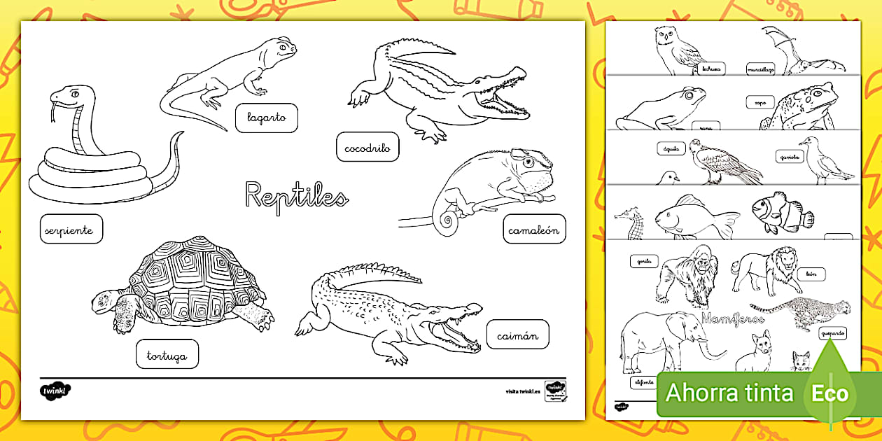 Hojas de colorear: Grupos de animales (teacher made)