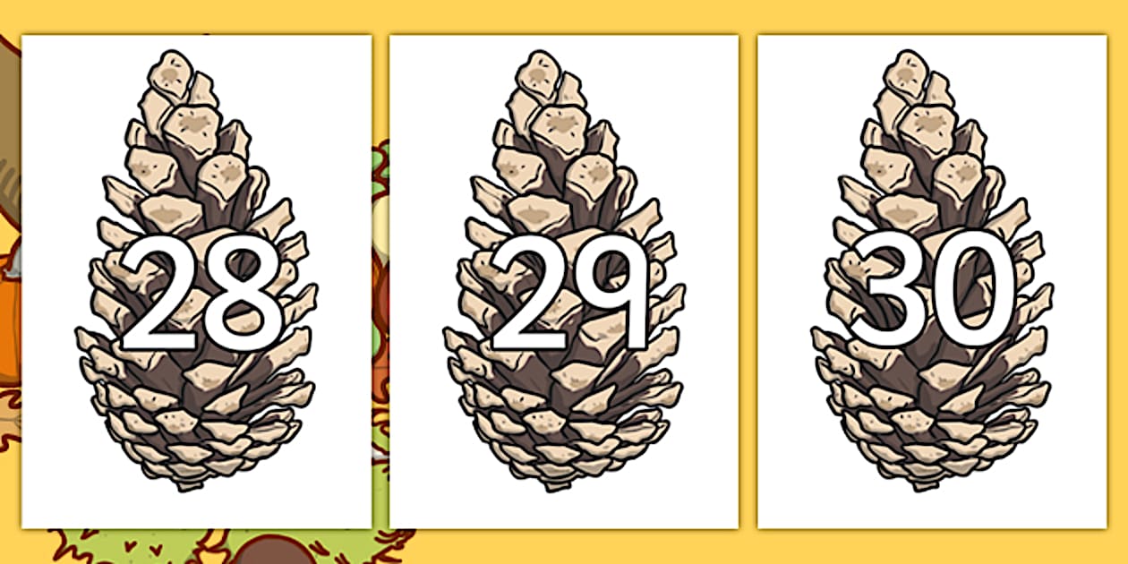 Editable Numbers 0-30 on Pine Cones (teacher made) - Twinkl