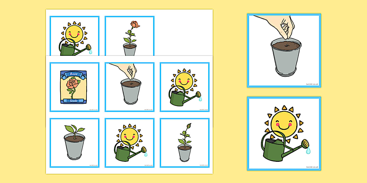 Black and White Plant Sequencing Cards (teacher made)