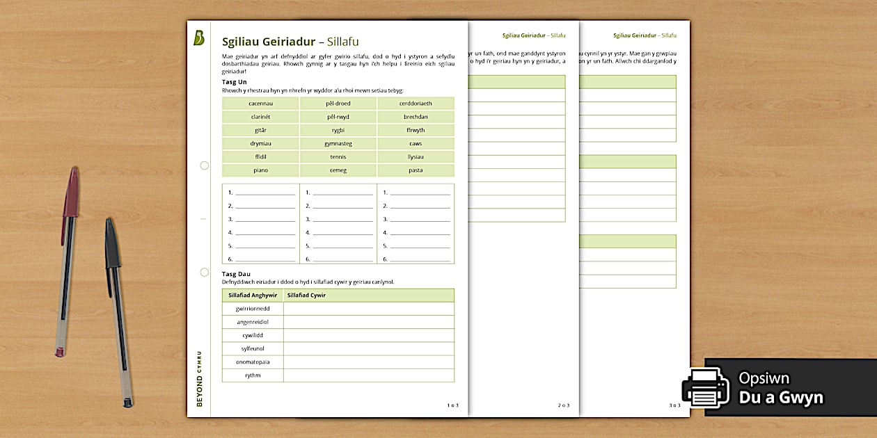 Sgiliau Geiriadur - Sillafu (Teacher-Made) - Twinkl