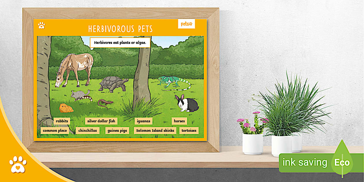 Herbivorous Pets Poster - Herbivore - Herbivorous - Pets