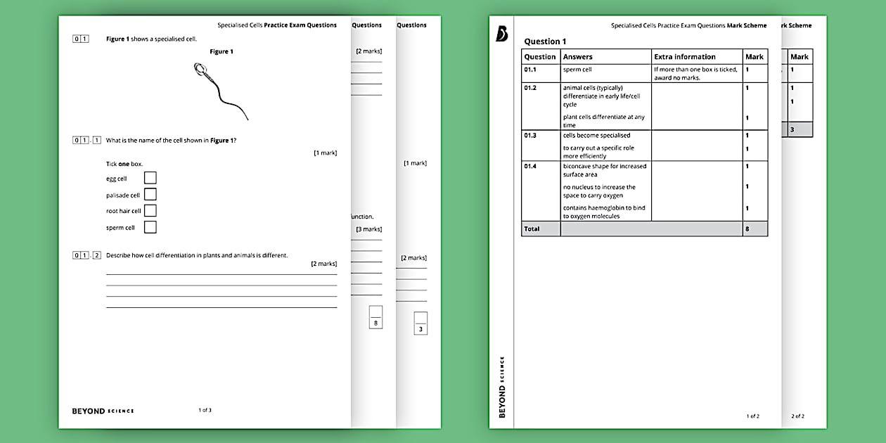 GCSE Specialised Cells Practice Exam Questions - Twinkl