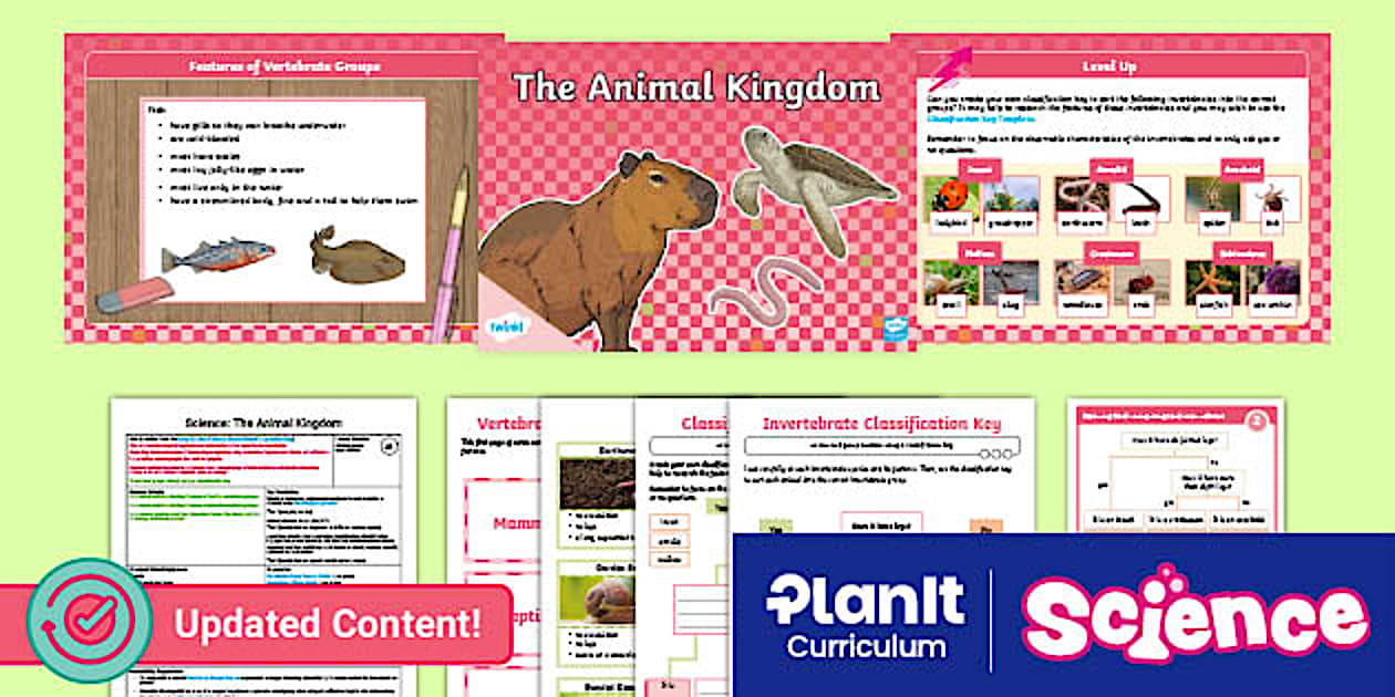 Y6 Living Things and Their Habitats The Animal Kingdom Lesson 2