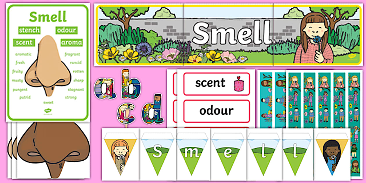 Smell Display Pack (teacher made) - Twinkl