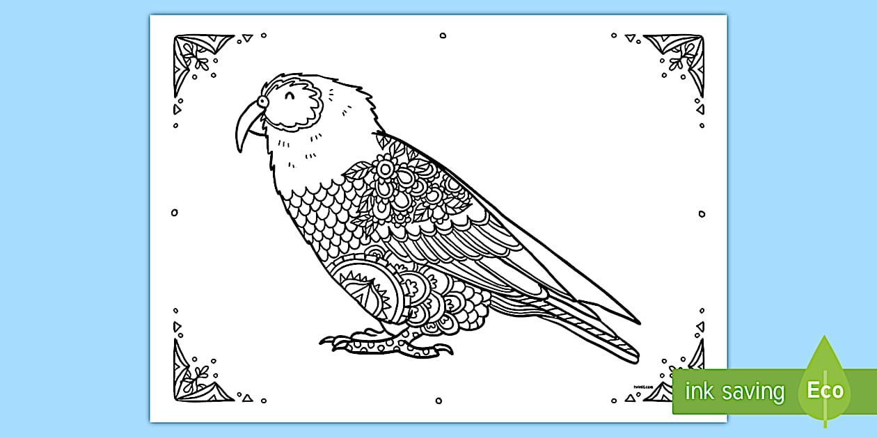 Kea Mindfulness Colouring Page (teacher made) - Twinkl
