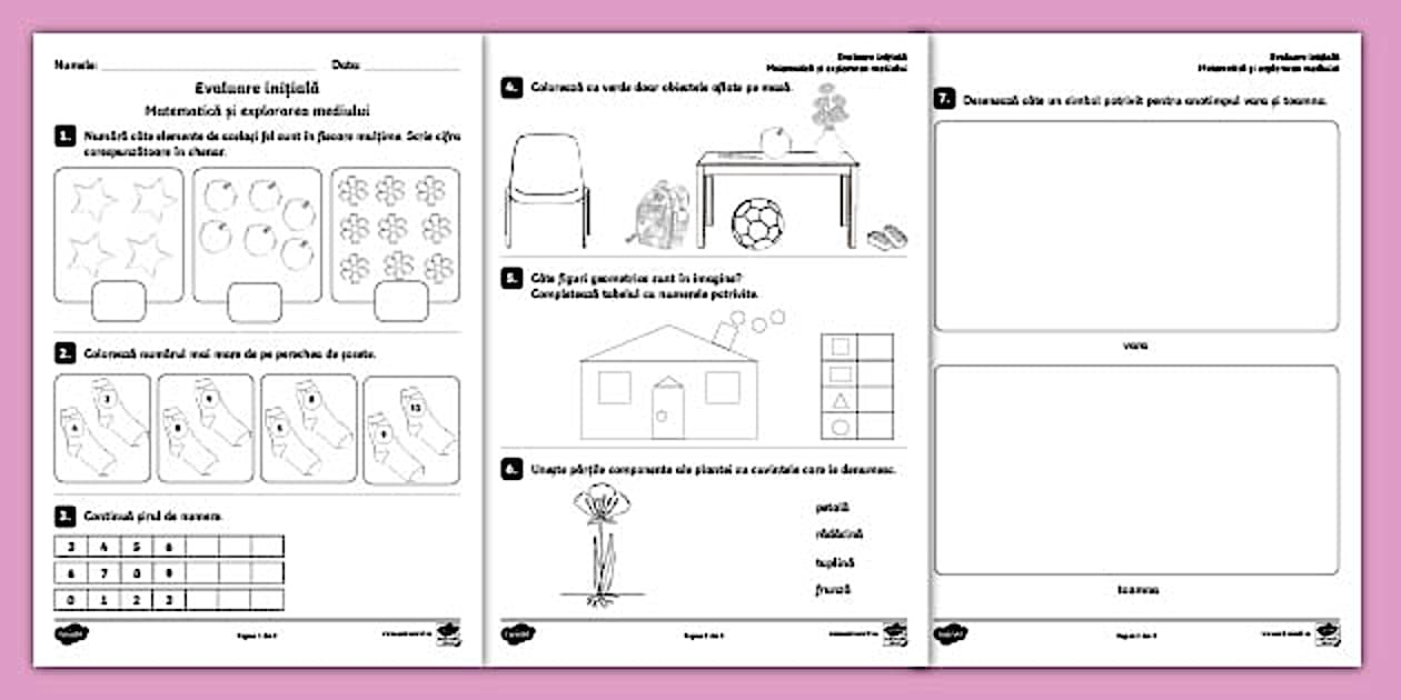 Evaluare inițială MEM Clasa I (teacher made) - Twinkl