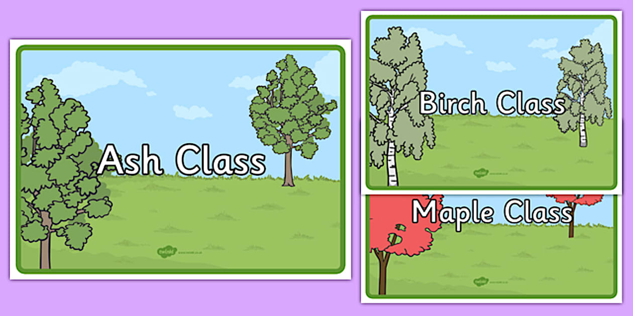 Editable Tree Class A4 Posters (teacher made) - Twinkl