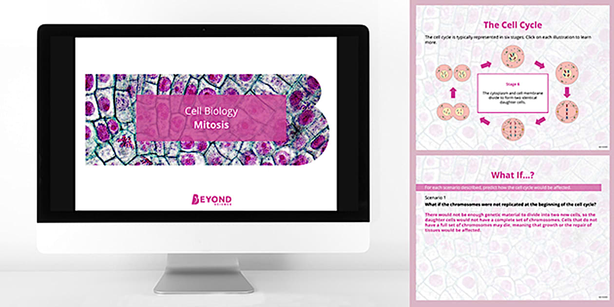 Cell Cycle What If PowerPoint Activity | AQA Biology | Beyond