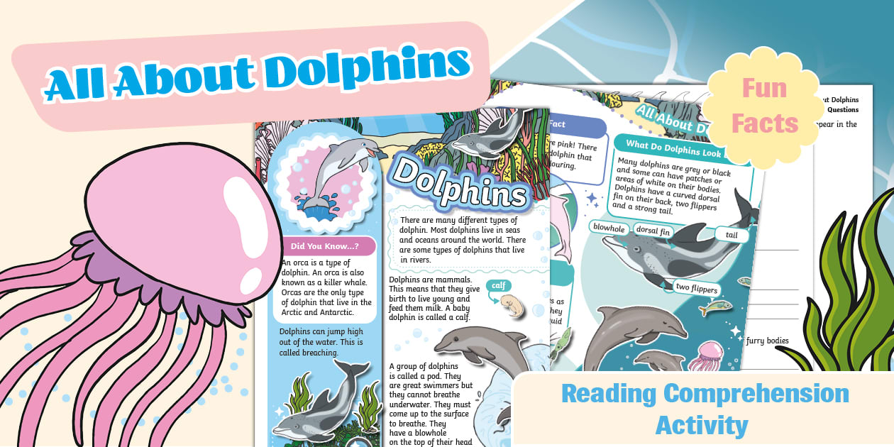 KS1 All About Dolphins Reading Comprehension Activity