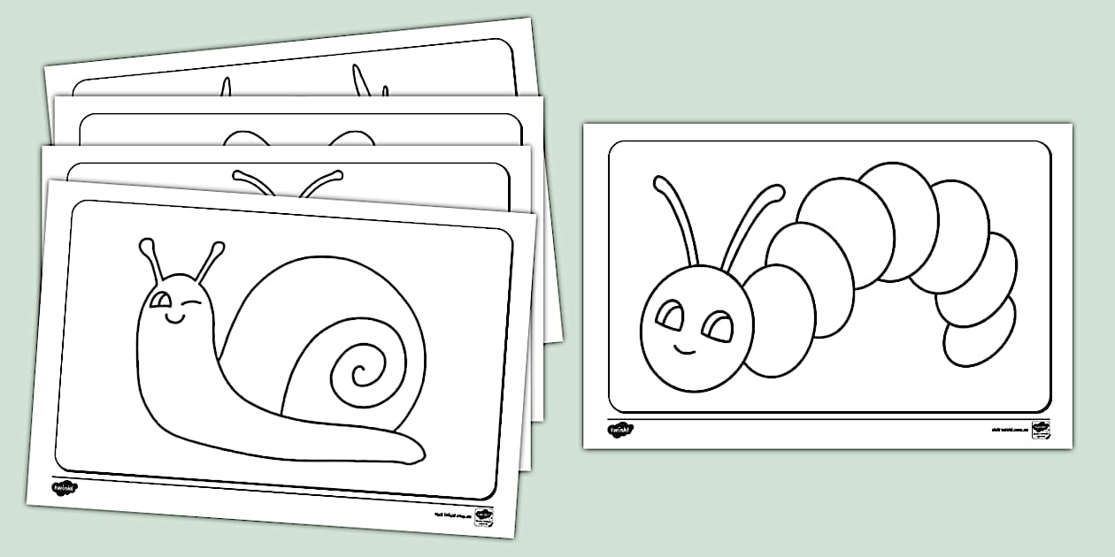 My First Bugs Colouring Pack (teacher made) - Twinkl