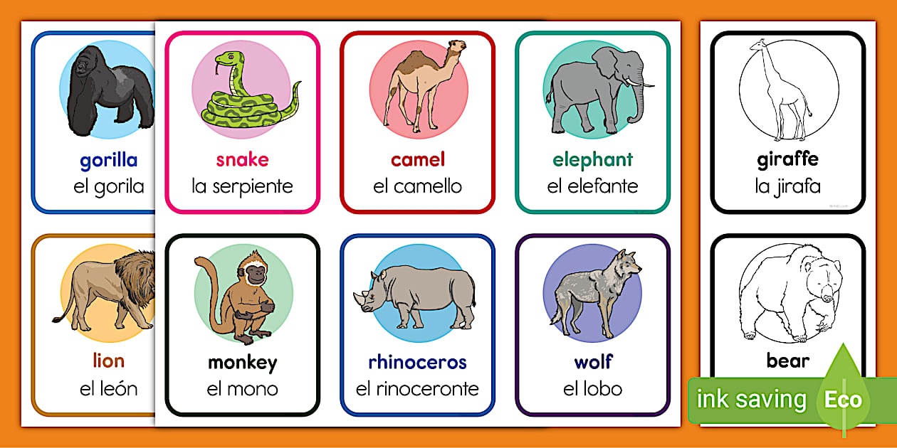 Zoo Animals in English/Spanish Matching Cards | Twinkl USA