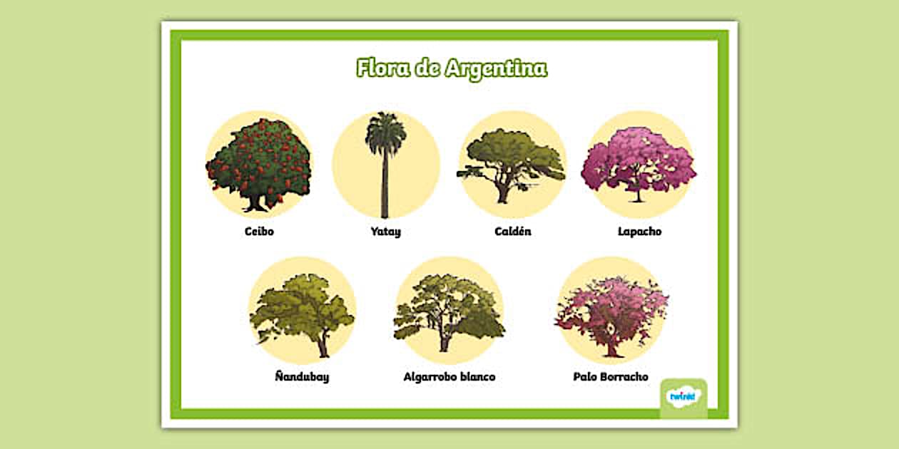 Póster: flora de Argentina (teacher made) - Twinkl